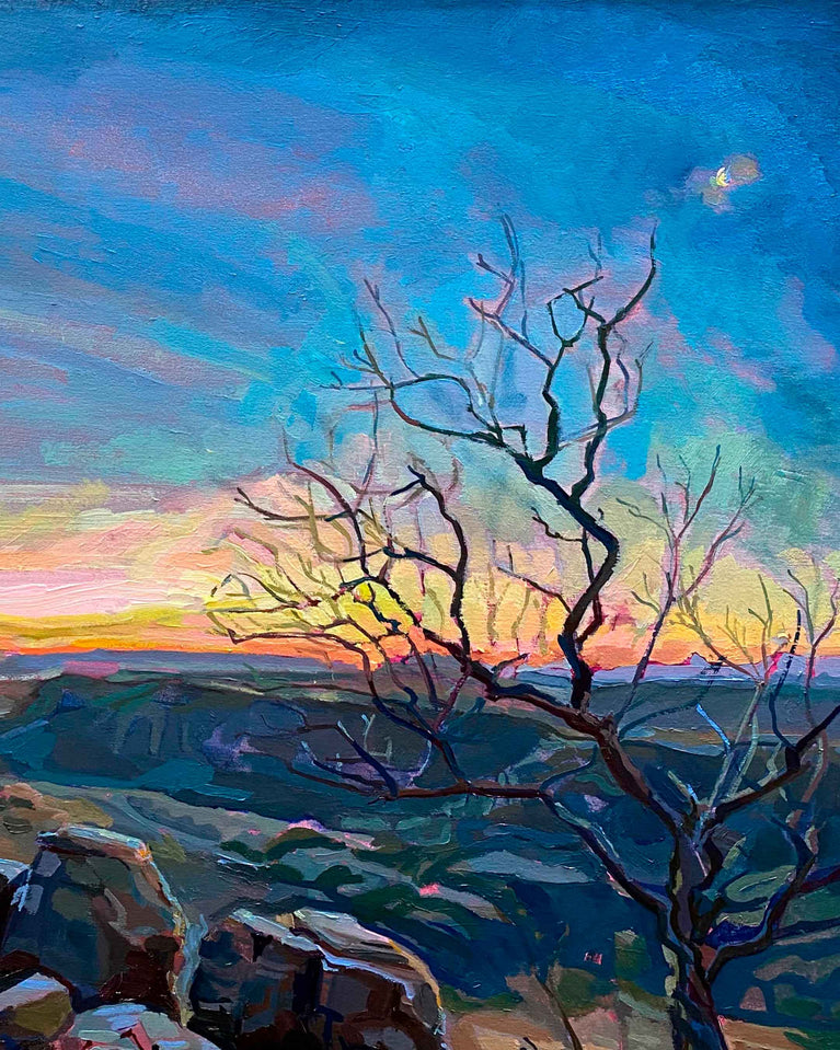 Contemporary Texas Paintings and Art Prints by Courtney Holder ...