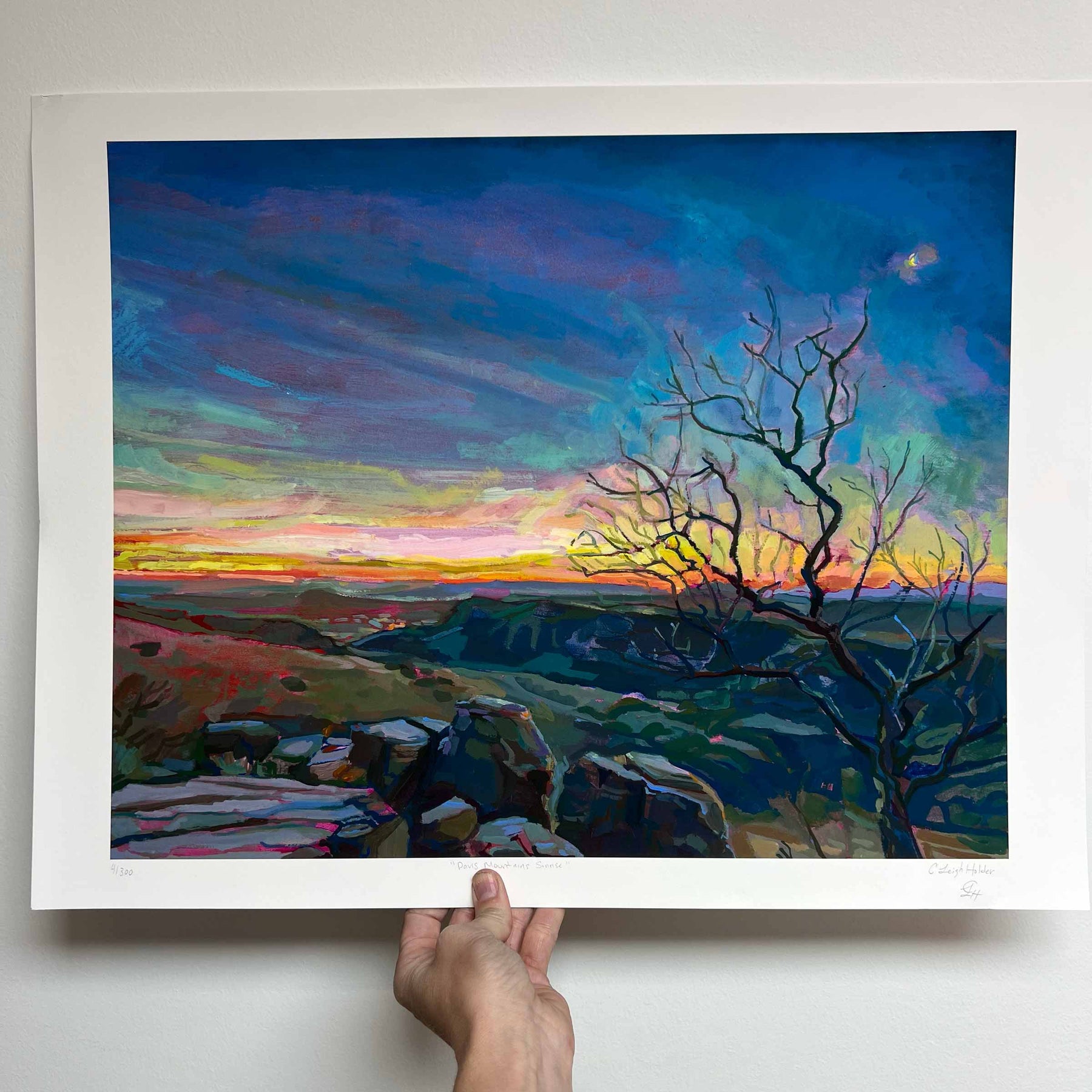 Contemporary Texas Art by Courtney Holder, paintings and art prints.